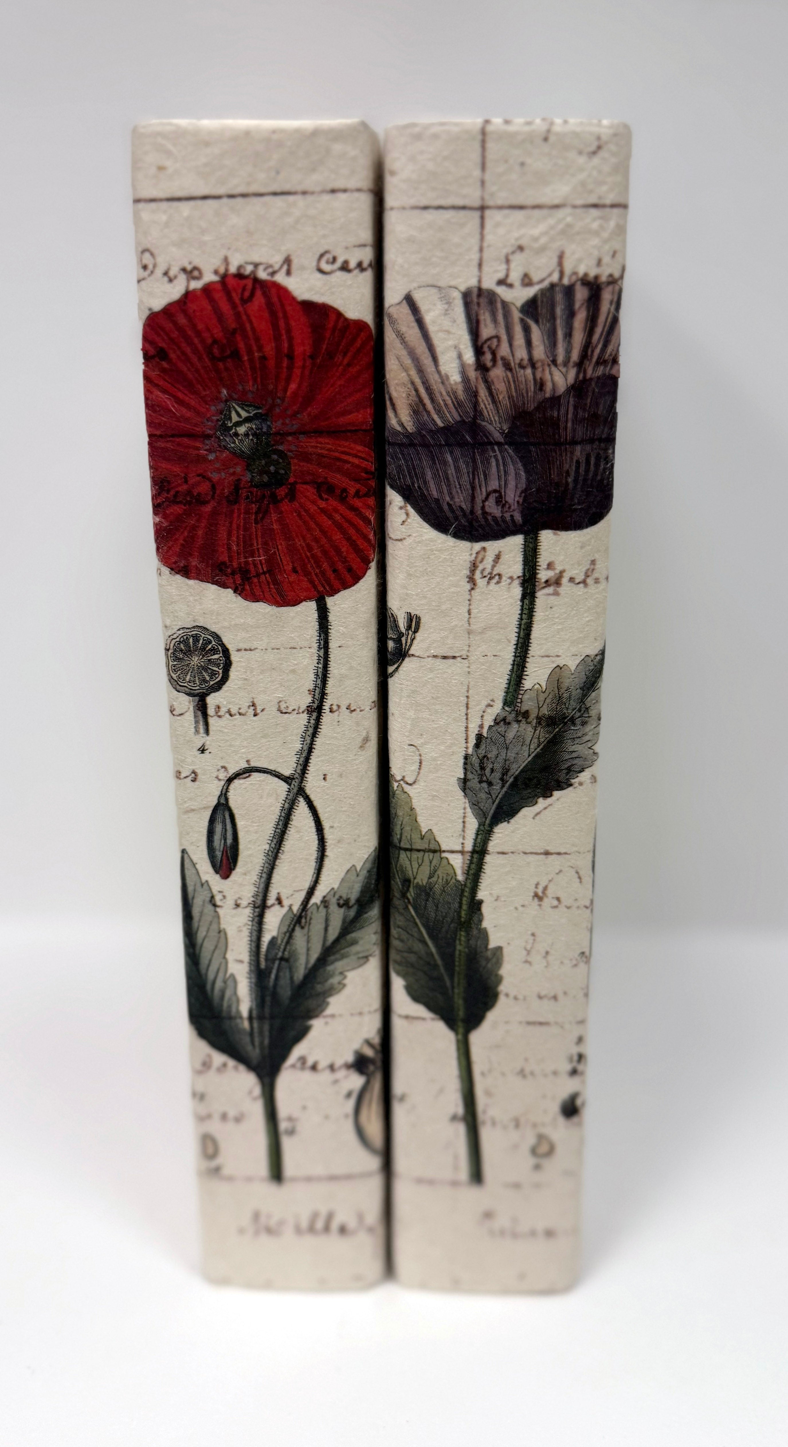 Antique Botanical Book Series, Set of 2 – Julia Moss Designs